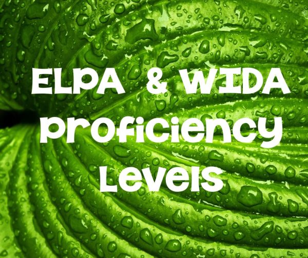 🗣️ Proficiency Levels: A Teacher’s Guide to ELPA & WIDA - Fun to Teach